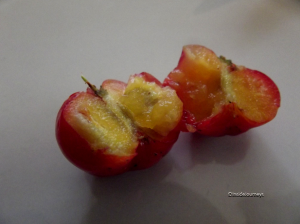 The Jamaican Cherry | InsideJourneys